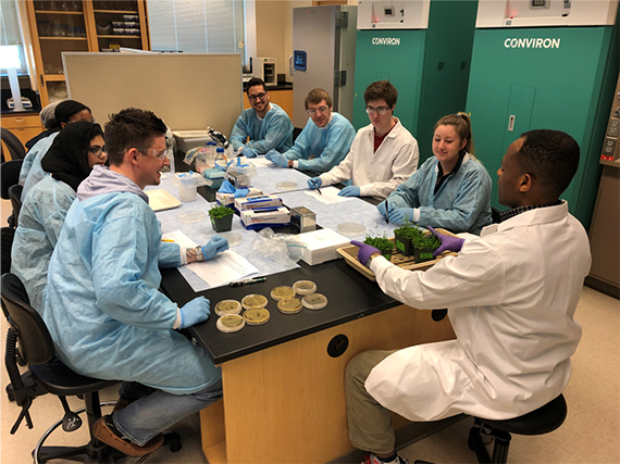 Teaching | Osena Research Group