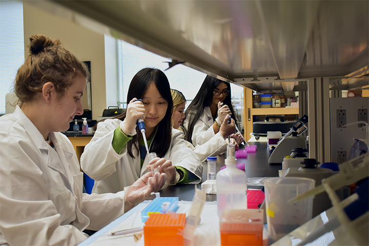MS Biology | Department of Biology